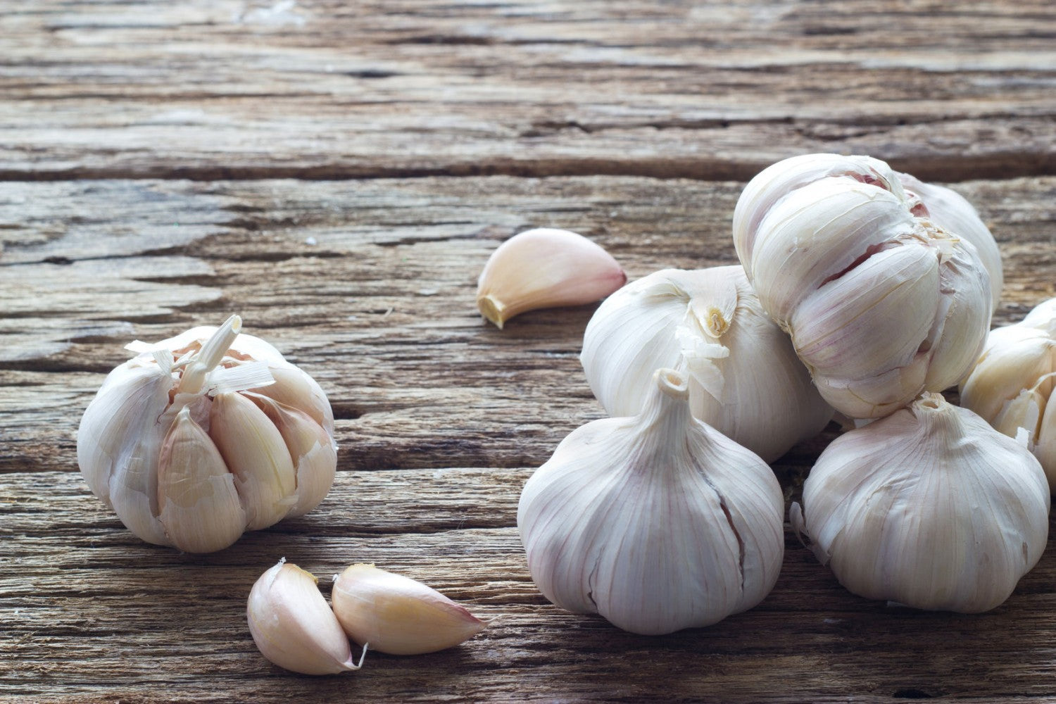 Garlic | The Health Benefits of Garlic | Garlic and Diabetes – Oxford ...